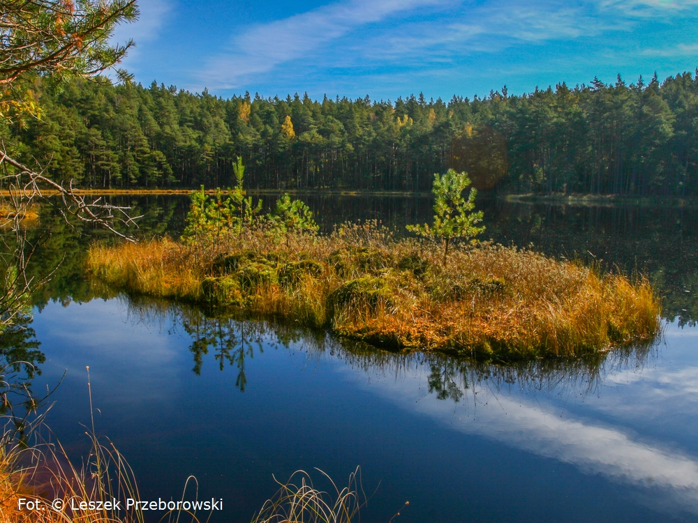 Sejneńszczyzna » Suchar jest to tradycyjna nazwa małych, śródleśnych ...